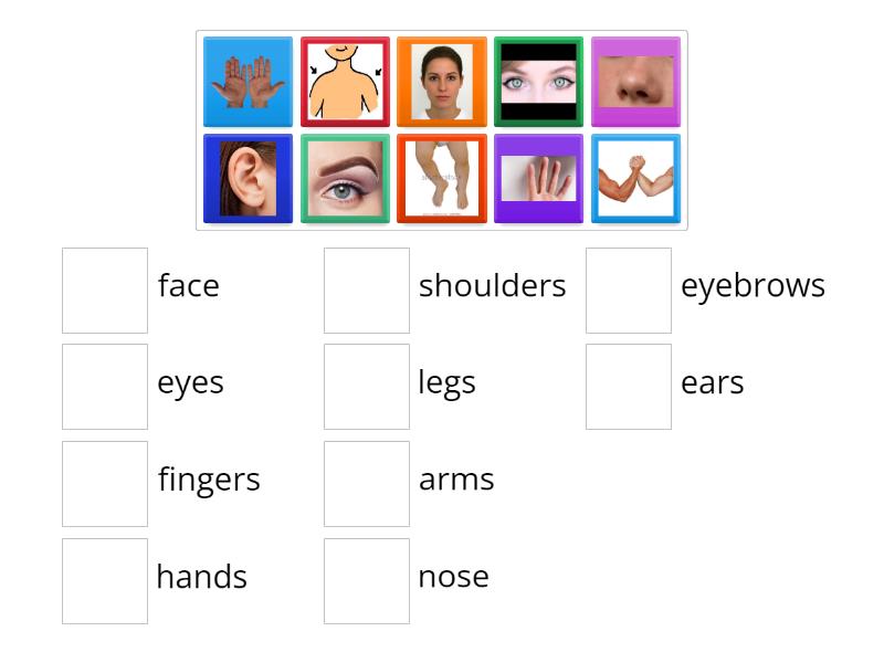 Body part match - Match up