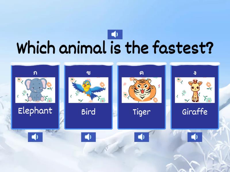 Unit 3 Animals - Quiz