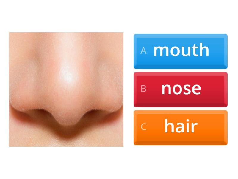 Parts of the Face - Quiz