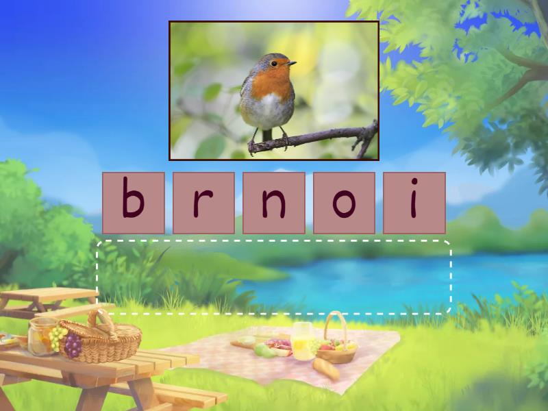 Top-5 birds in the UK - Anagram