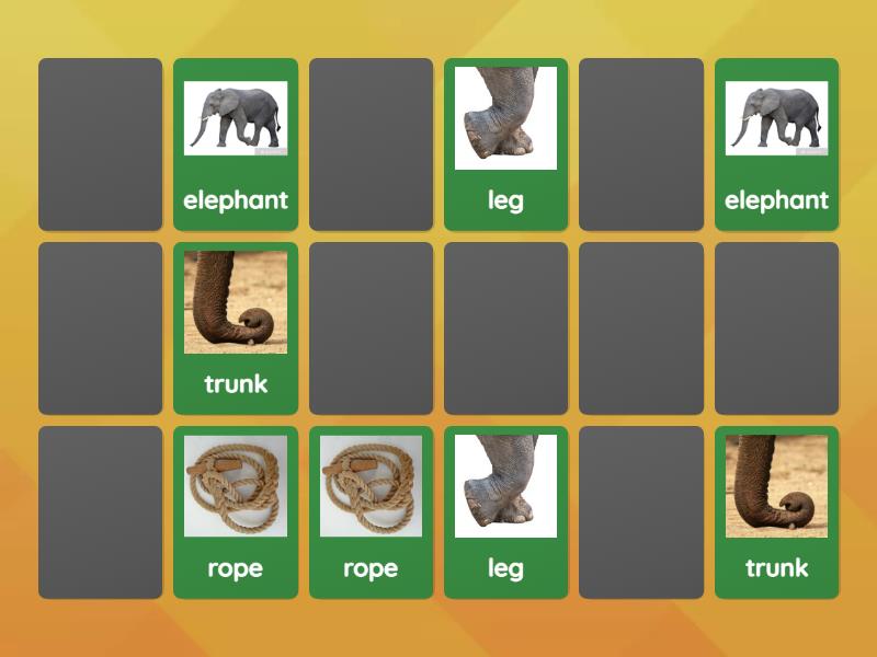 Five Friends and The Elephant - Matching pairs