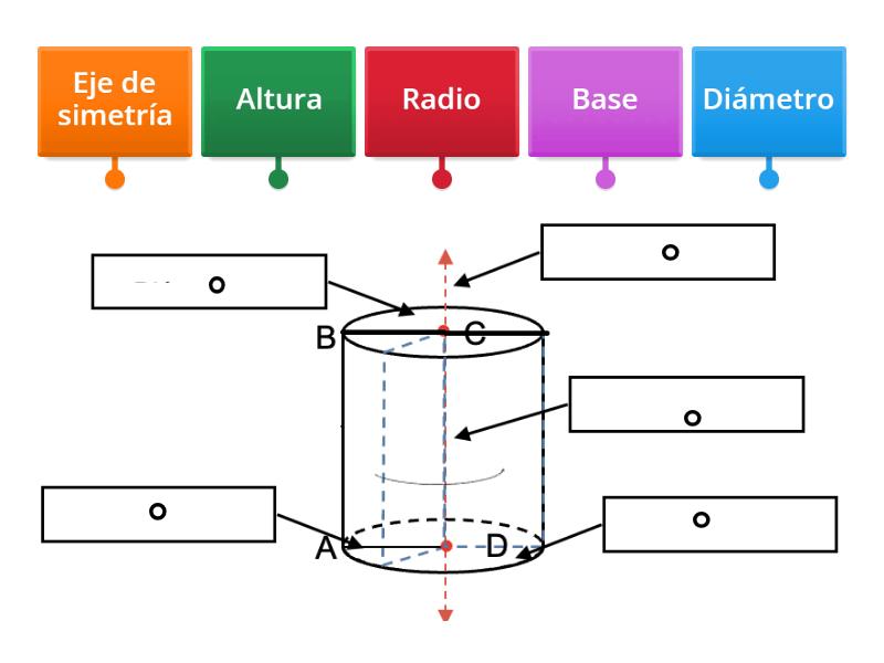 El cilindro y sus elementos - Diagrama con etiquetas