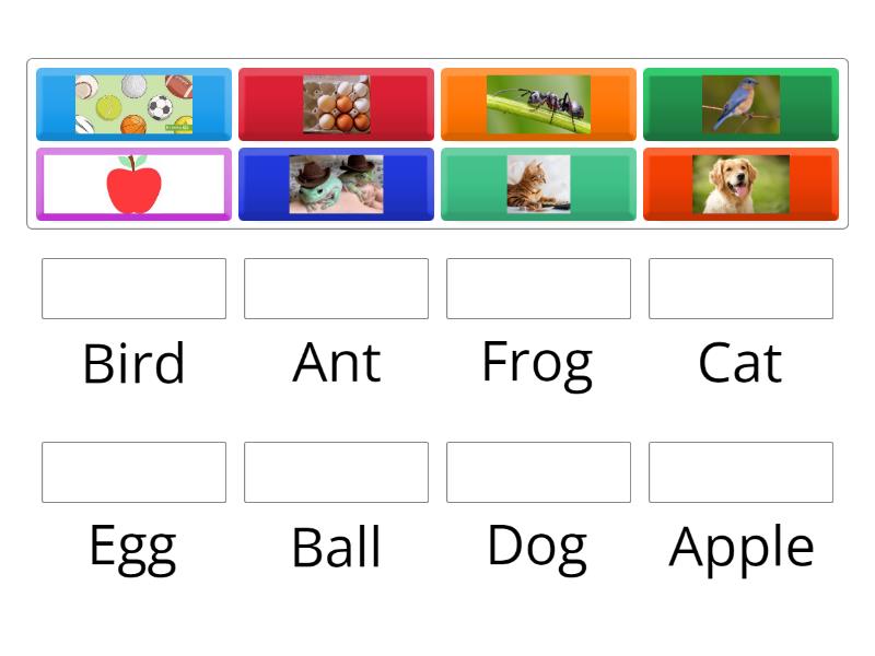 Match the picture to their corresponding word's - Match up