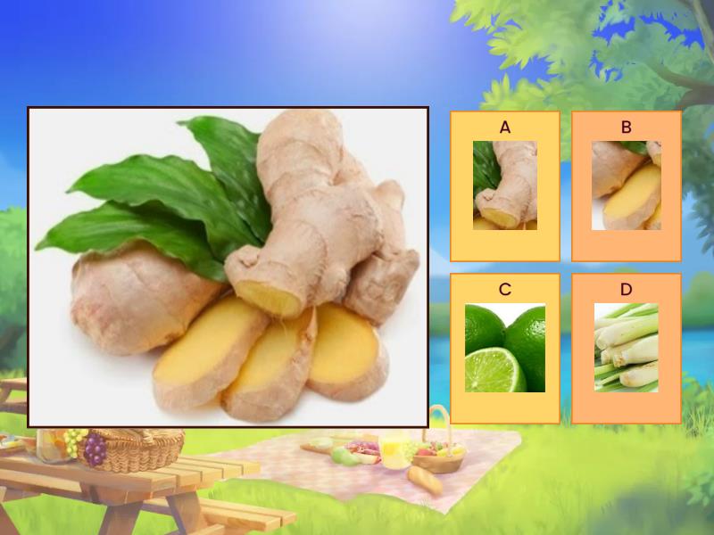 PUZZLE TANAMAN - Quiz