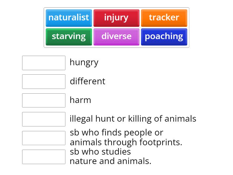 Match the word with the definition: - Match up
