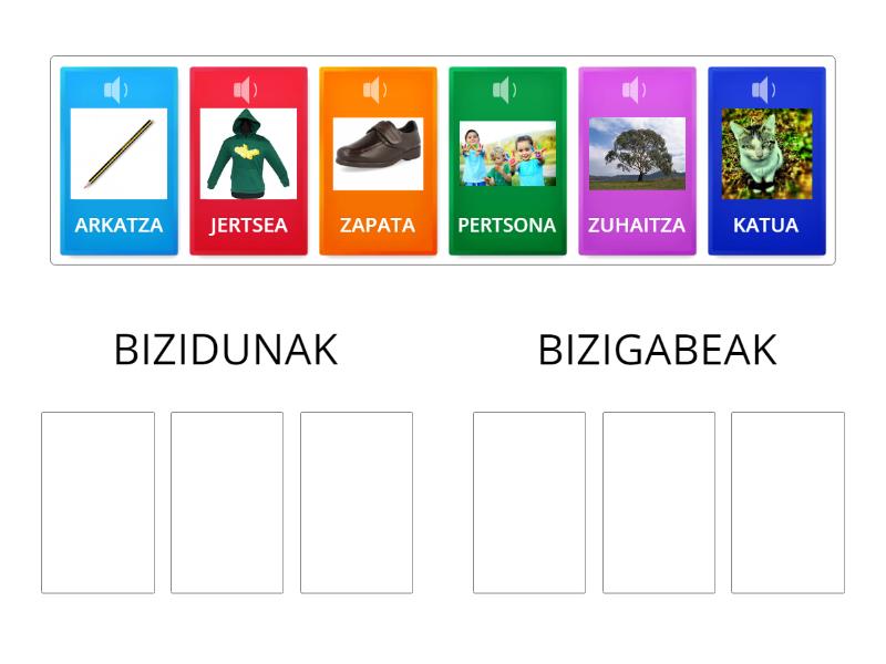 IZAKI BIZIDUNAK ETA BIZIGABEAK - Ordenar por grupo