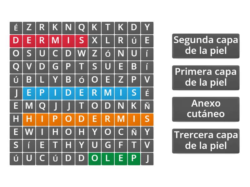DE LA PIEL - Sopa de letras