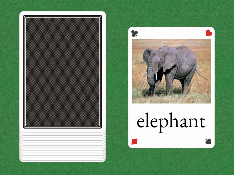animals - Speaking cards