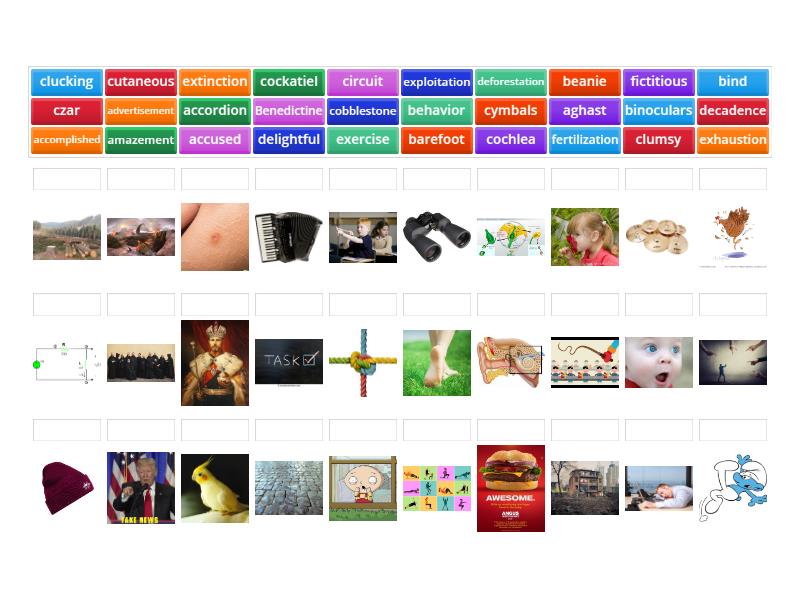 spelling bee quiz 1 - Match up
