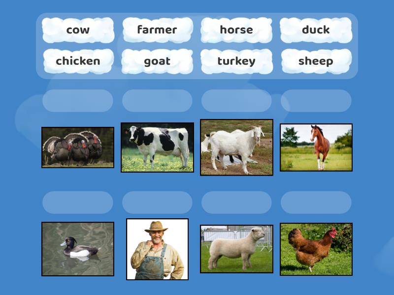 Farm animals - Match up