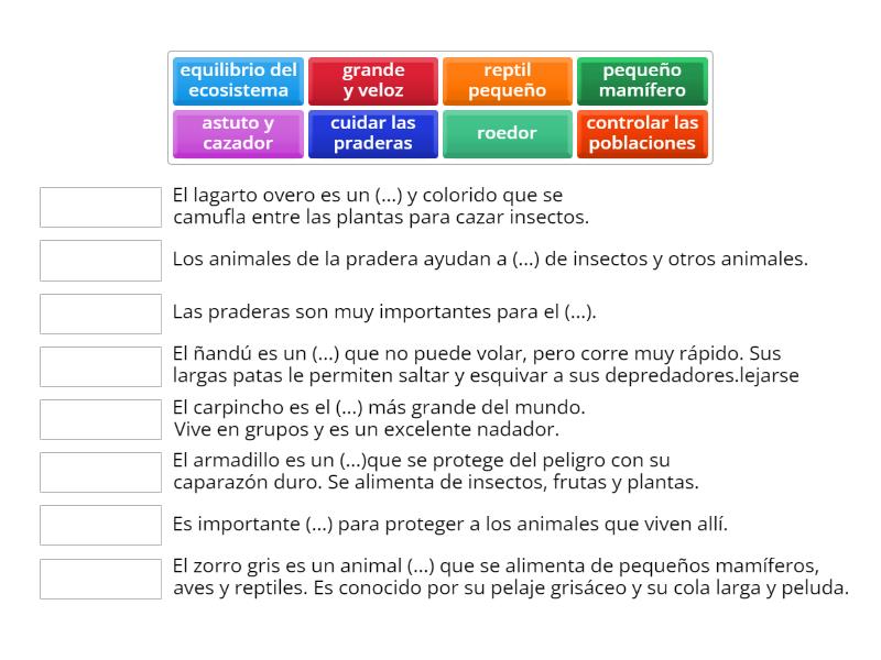 ¿Qué animales podemos encontrar en la pradera? - Match up