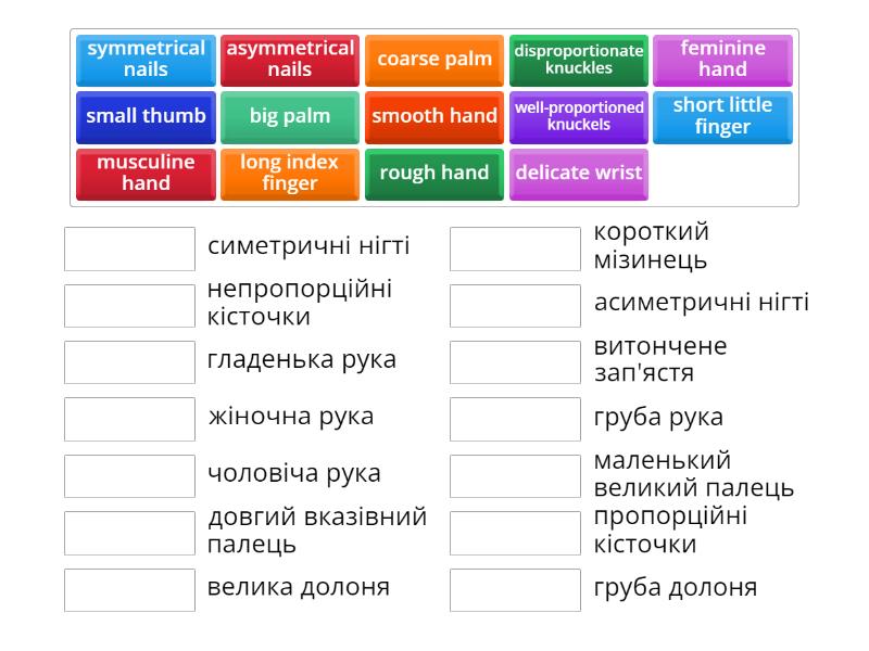 Hand Parts + Adjectives - Match up