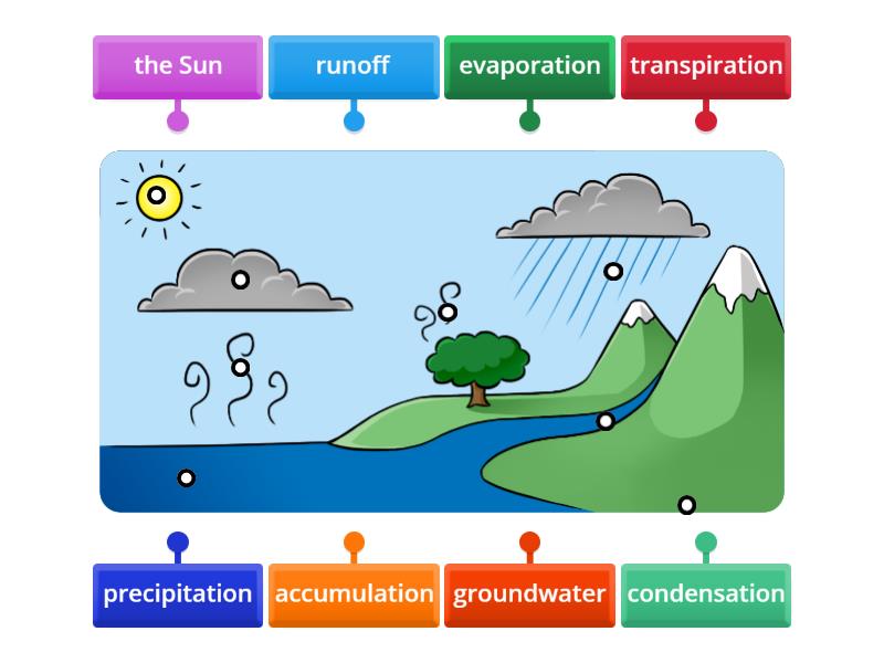 Water Cycle- Label Illustration - Labelled diagram