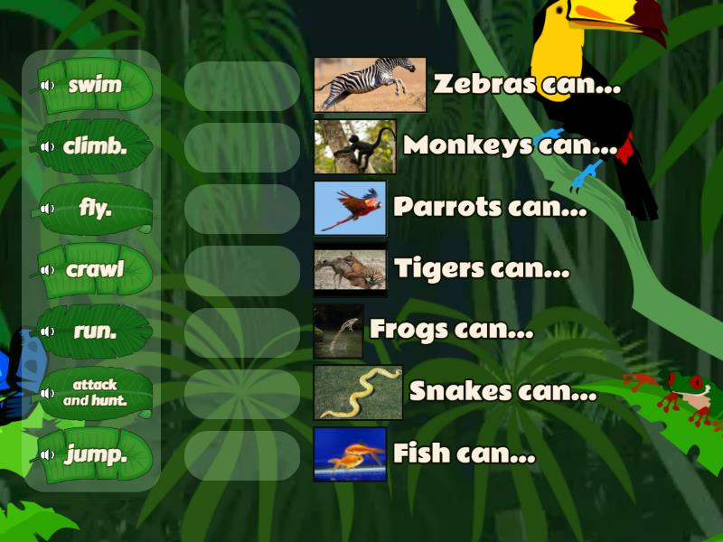 3º Animal action verbs - Match up