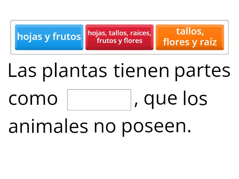 El Mundo de las Plantas y los Animales - Complete the sentence
