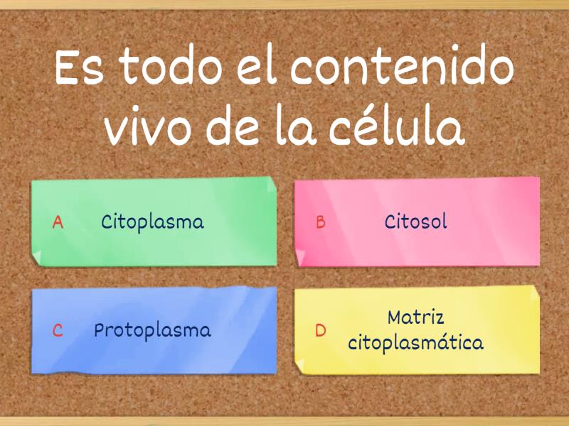 El citoplasma - Cuestionario