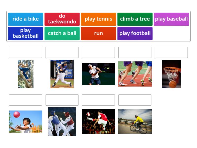 Sports - Match up
