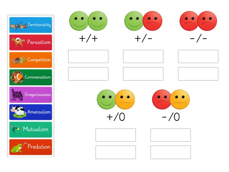 Ecological interactions - Group sort