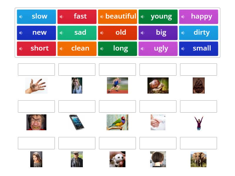 Basic adjectives (opposites) - Match up