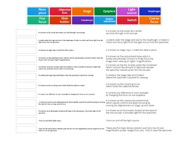 Parts and function of a Microscope Matching - Match up
