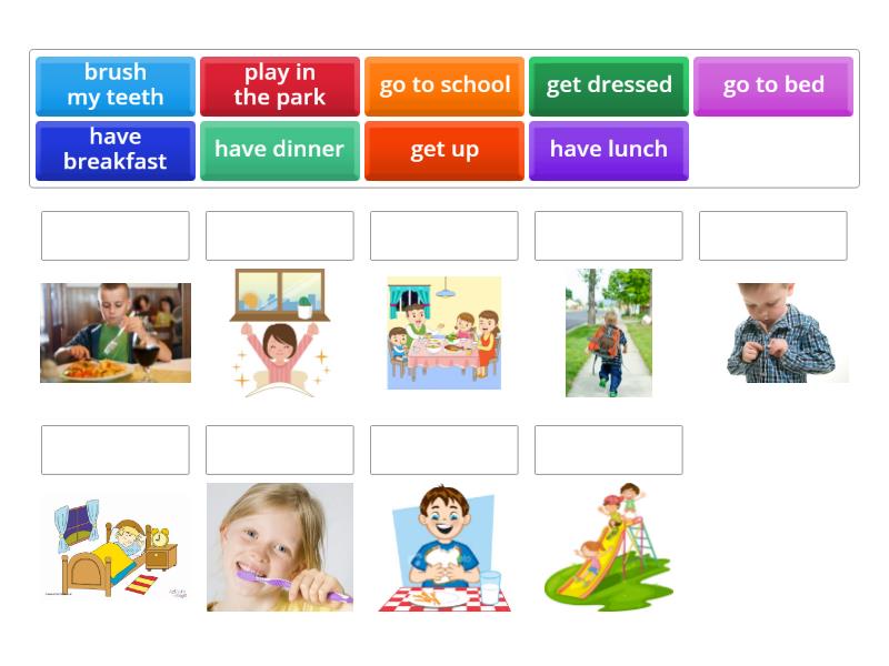 daily routines - Match up