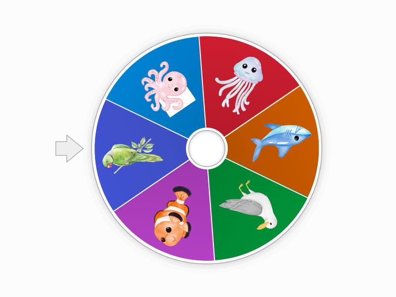 Sea animals - Spin the wheel