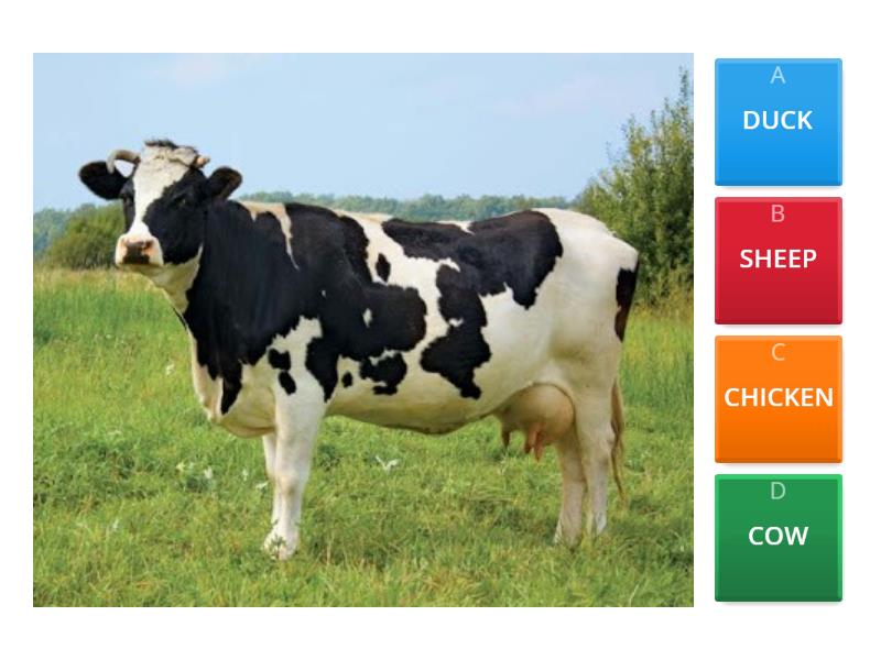 Farma Animals - Questionário