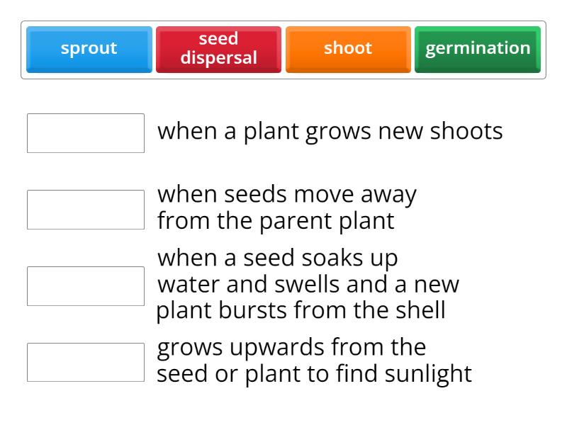 Plant life cycle terminology - Match up