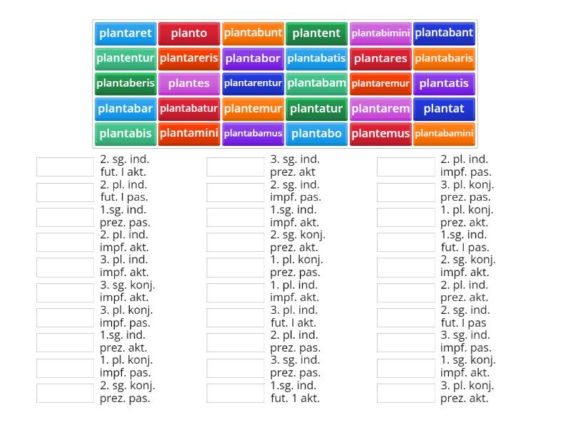 plantatio - Match up