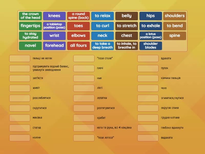 Body parts. Verbs. Yoga classes - Match up