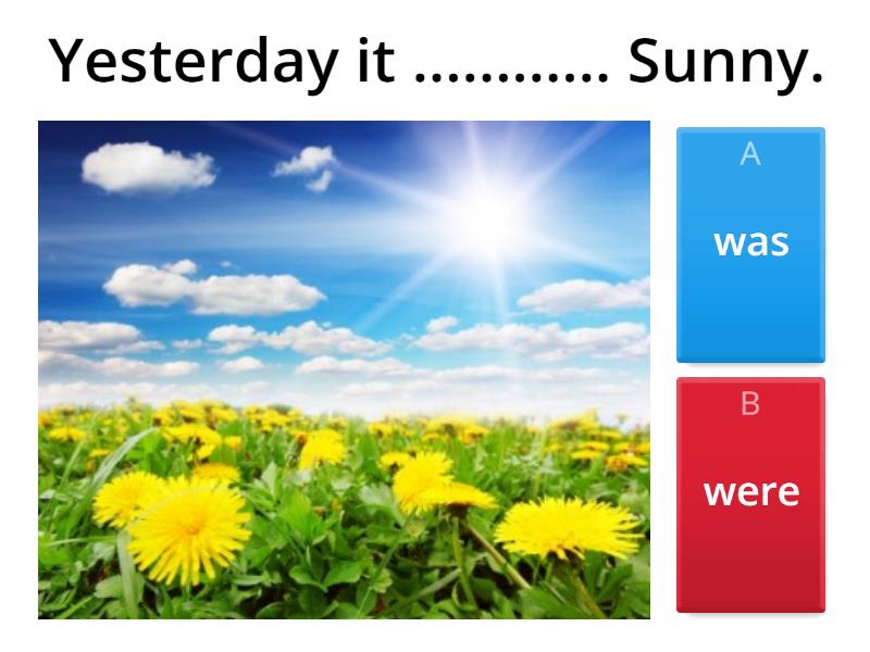 Was and Were - Quiz
