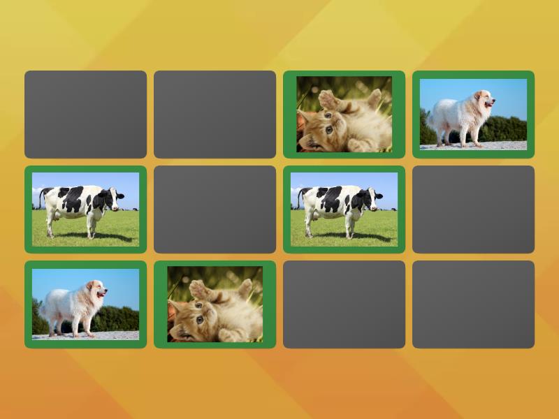 Cada oveja con su pareja - Matching pairs