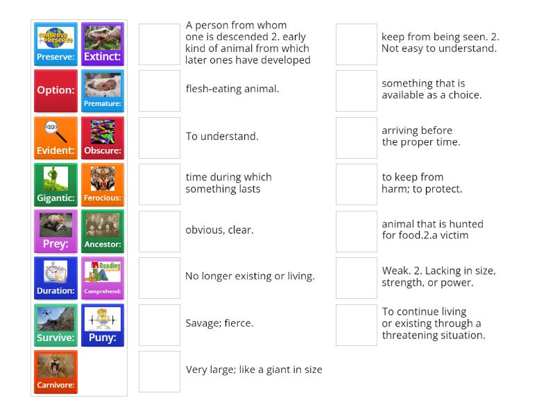 Wordly Wise: Lesson 3 - Match up