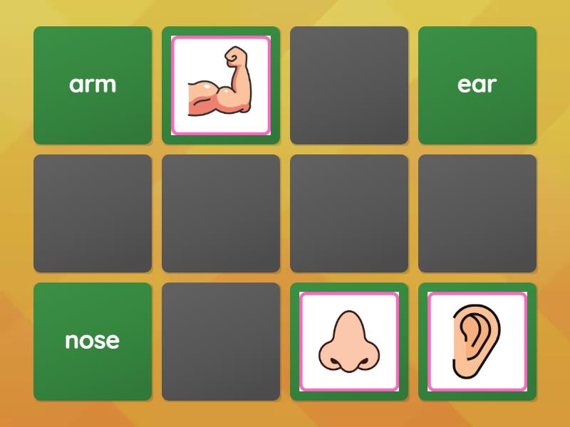 THE HUMAN BODY - Matching pairs