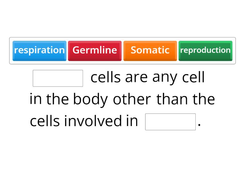 1a Cell Division Cloze Activity - Complete the sentence