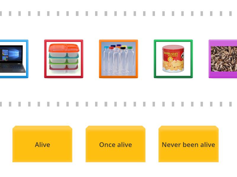 Alive, once alive, and never been alive (Grade 3) - Speed sorting
