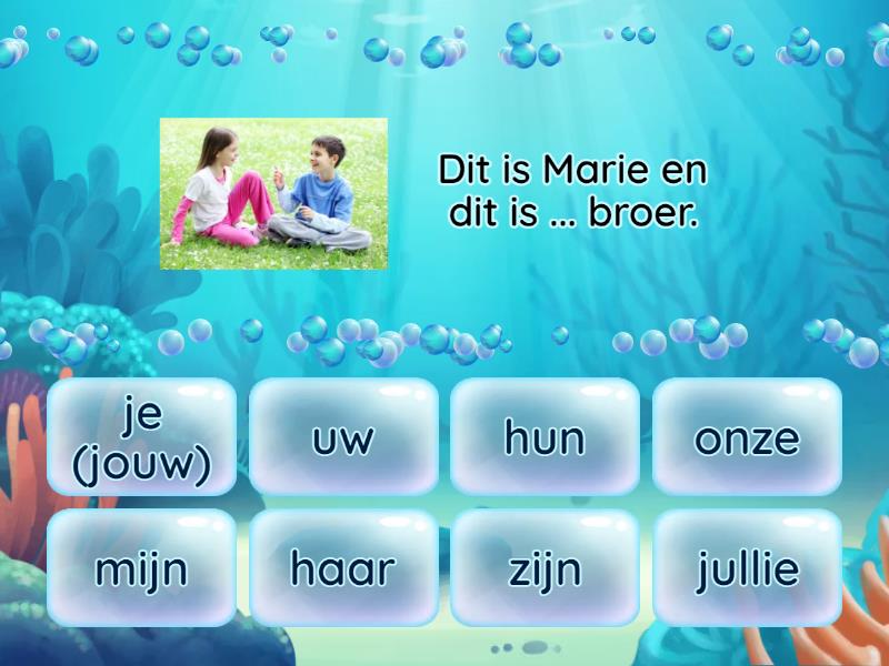 Possessief pronomen NT2 - Cada oveja con su pareja