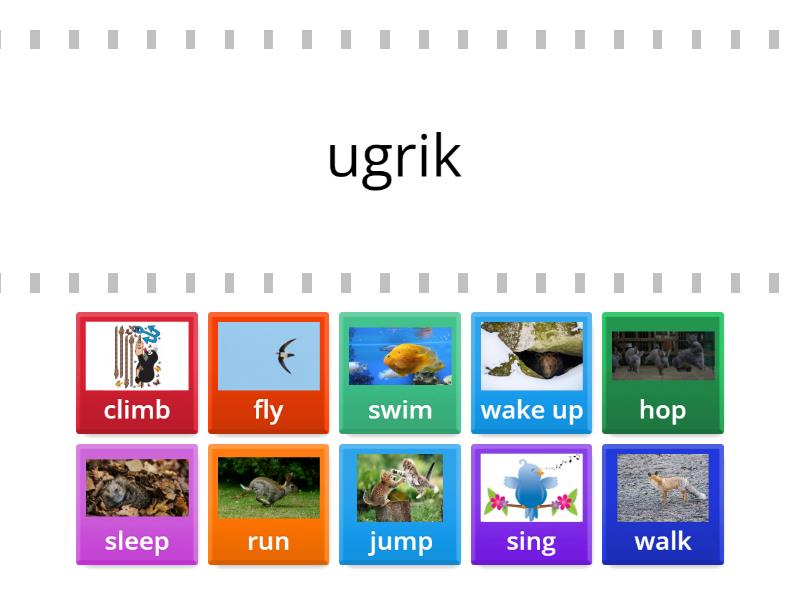 Let's explore2_verbs_unit4 - Find the match