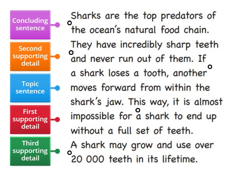 Paragraph Structure - Sharks - Labelled diagram