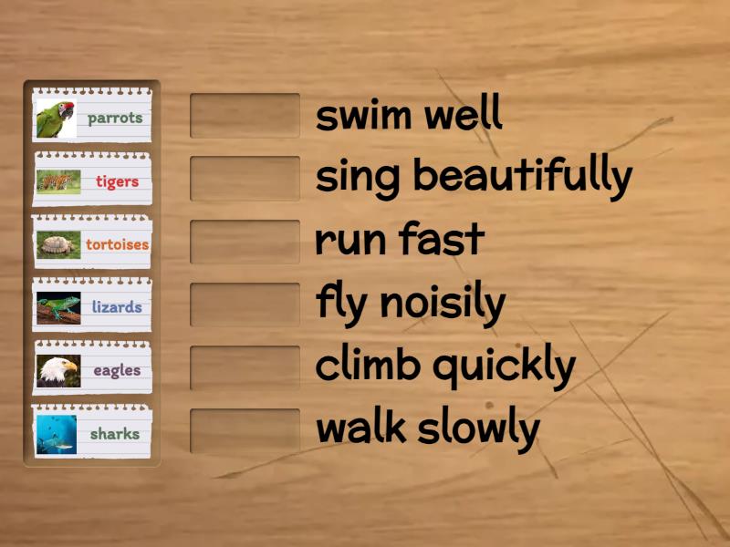 Form 5 animals adverbs - Match up