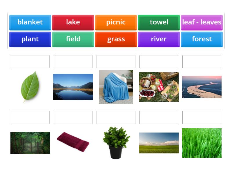 Kid's Box 3 Unit 6 Nature - Match up