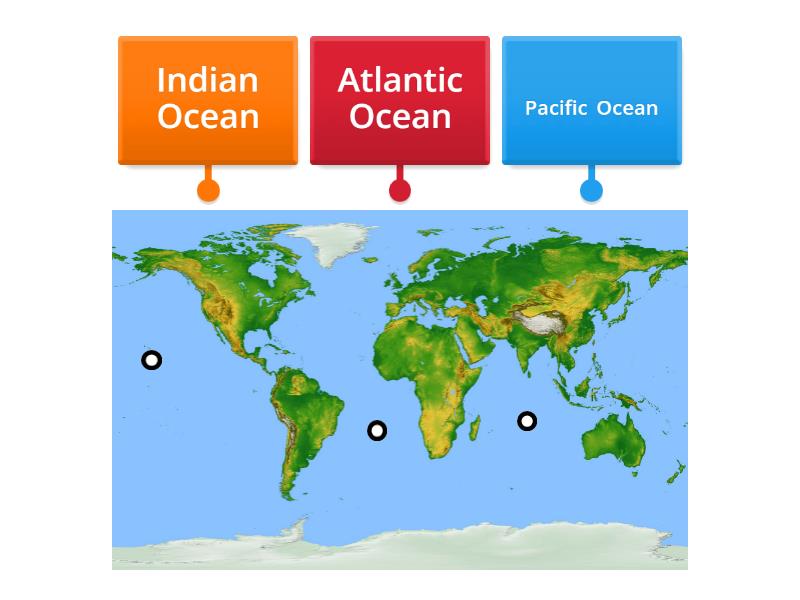 Where are dolphin habitats located? - Labelled diagram