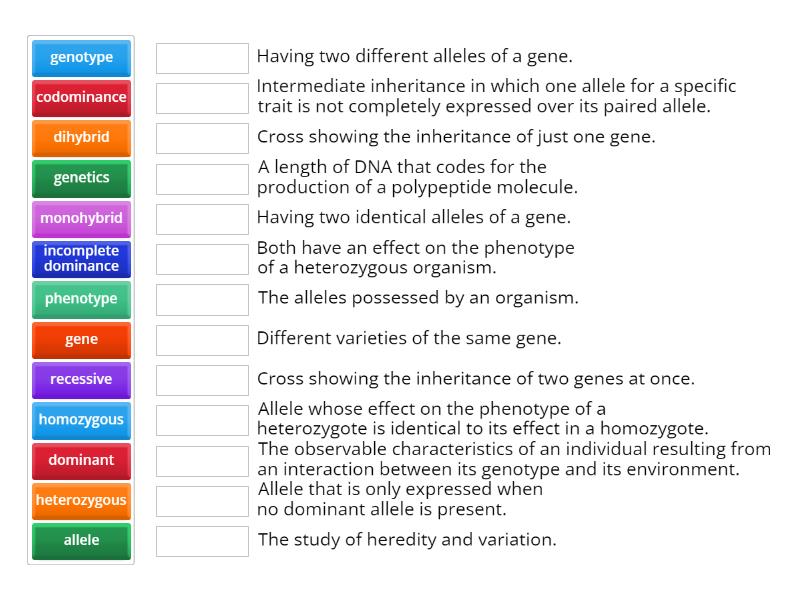 GENETIC TERMINOLOGIES - Match up