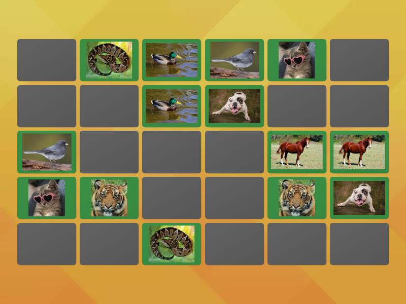 animals - Matching pairs