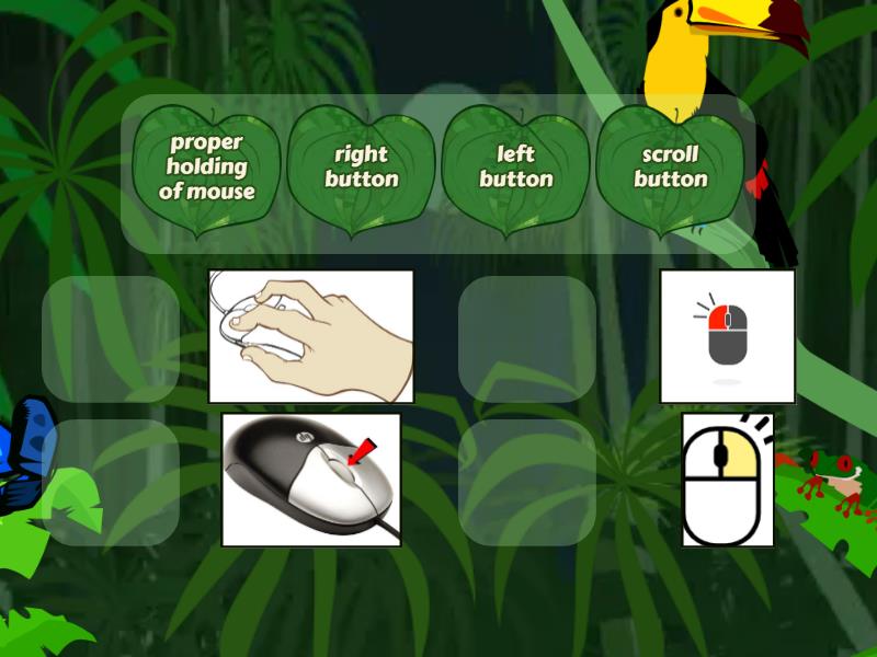 Computer mouse parts - Match up