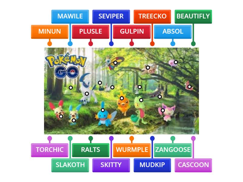 POKEMON GO - Labelled diagram