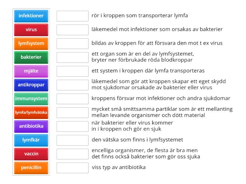 Människokroppen kroppens försvar - Match up