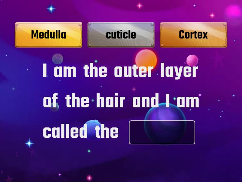 RARPA Starter - Complete the sentence