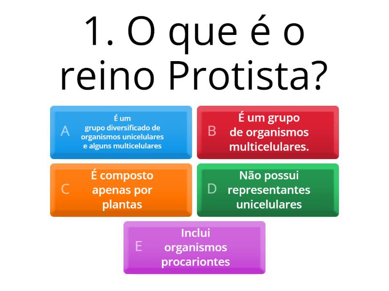 REINO PROTISTA - Quiz