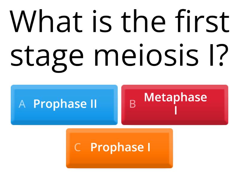 Meiosis - Quiz